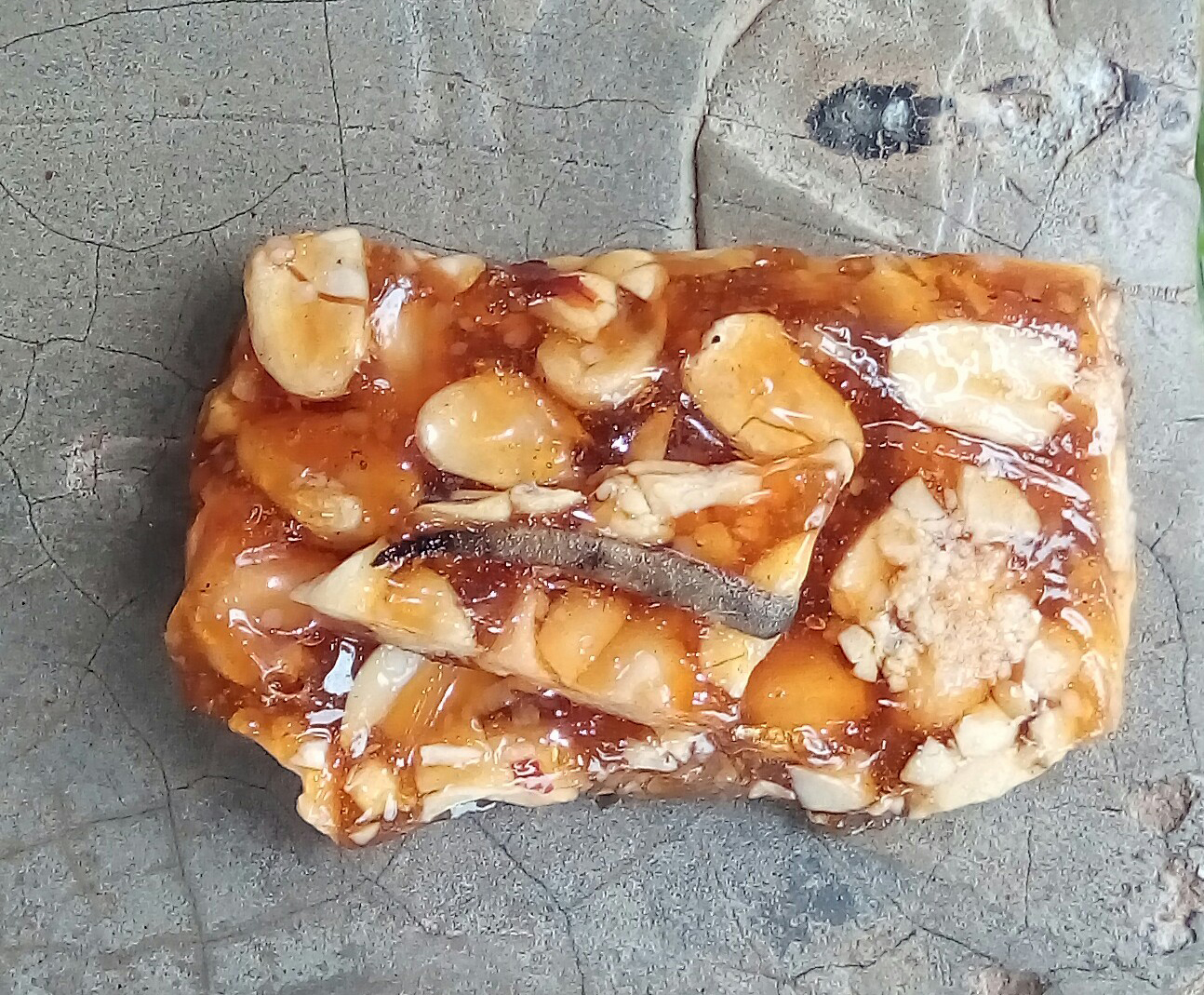 Lizard’s tail found in Anganwadi food stuff - OrissaPOST