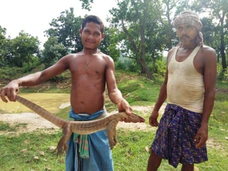 Wanton stone mining poses threat to wildlife - OrissaPOST