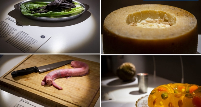 Disgusting Food Museum To Come To La Orissapost