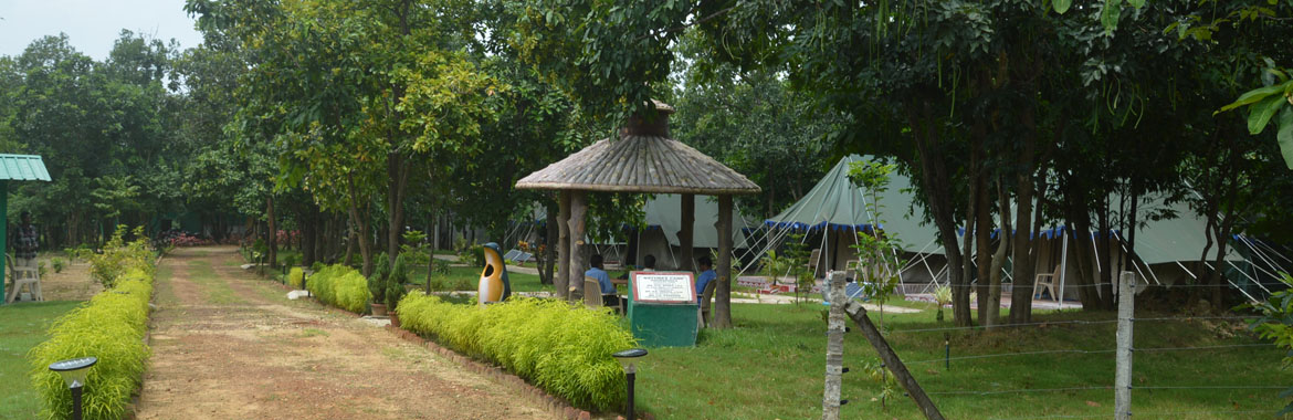 Up close with nature - OrissaPOST