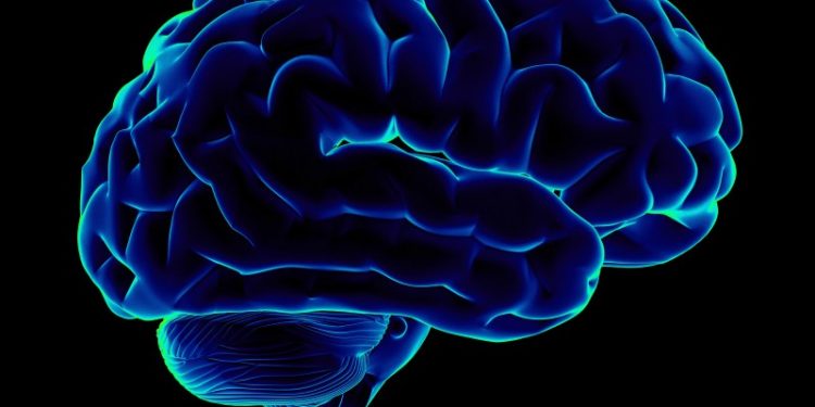 Here's how human brain recalls events - OrissaPOST