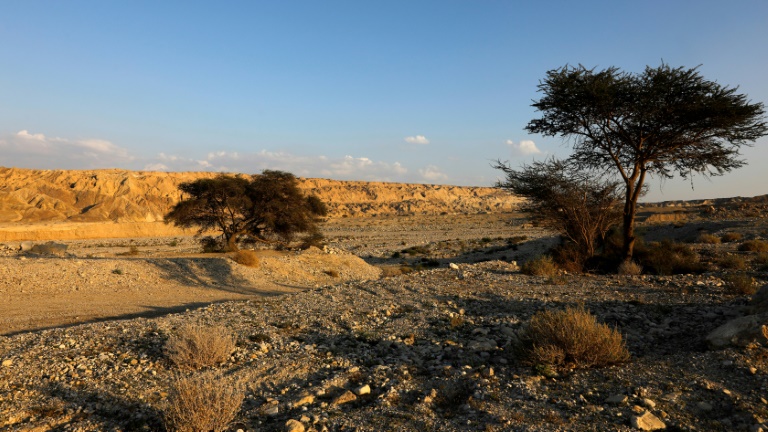 World's longest salt cave discovered - OrissaPOST