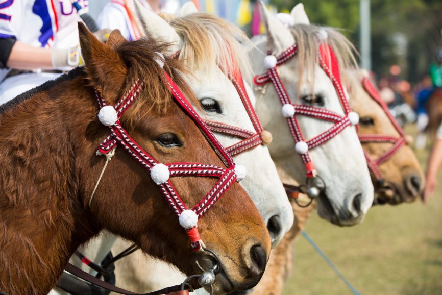 Polo bringing Manipuri women closer, saving horses - OrissaPOST
