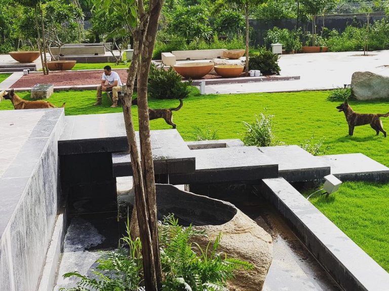 Pics: Gorgeous 7-acre mansion of MS Dhoni will make everyone envy his ...