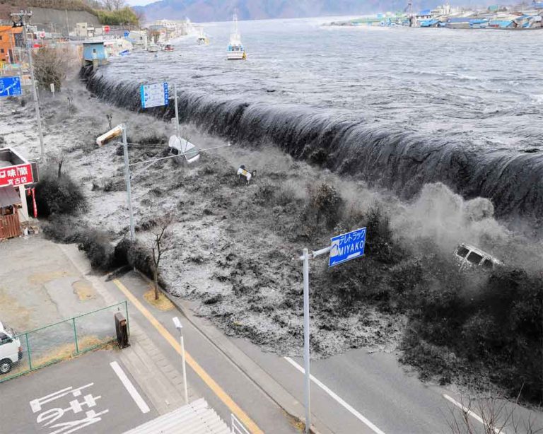 How to survive tsunami: Experts reveal what most people get wrong