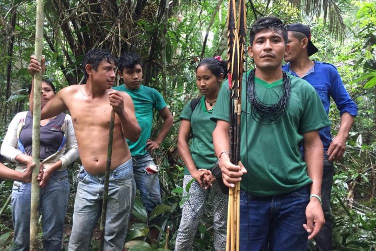Clash of cultures as Amazon cowboys close in on indigenous tribes and ...