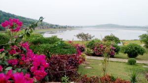 Ansupa Lake: A paradise of calm waters, vegetation - OrissaPOST