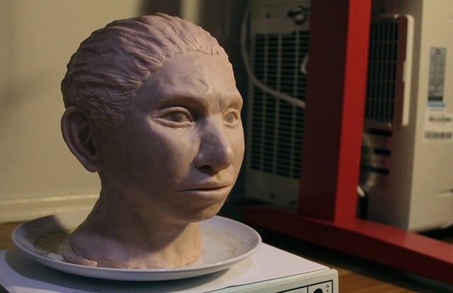 Scientists reconstruct face of another human ancestor - OrissaPOST Scientists reconstruct face of another human ancestor - OrissaPOST