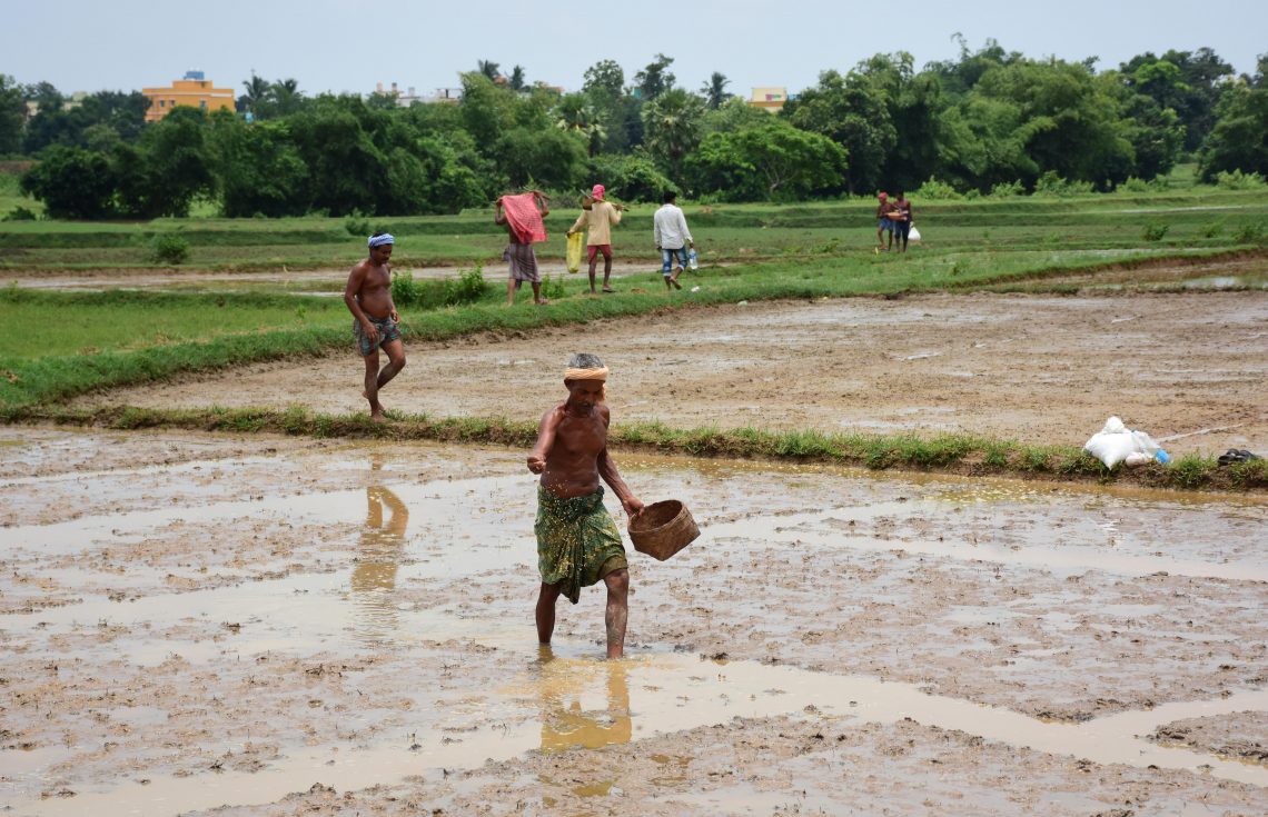 Odisha: Today’s Pics - OrissaPOST