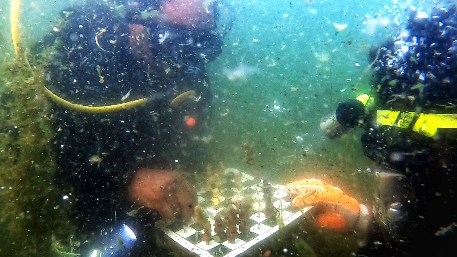 Sports Min explores underwater chess at Mahanadi - OrissaPOST